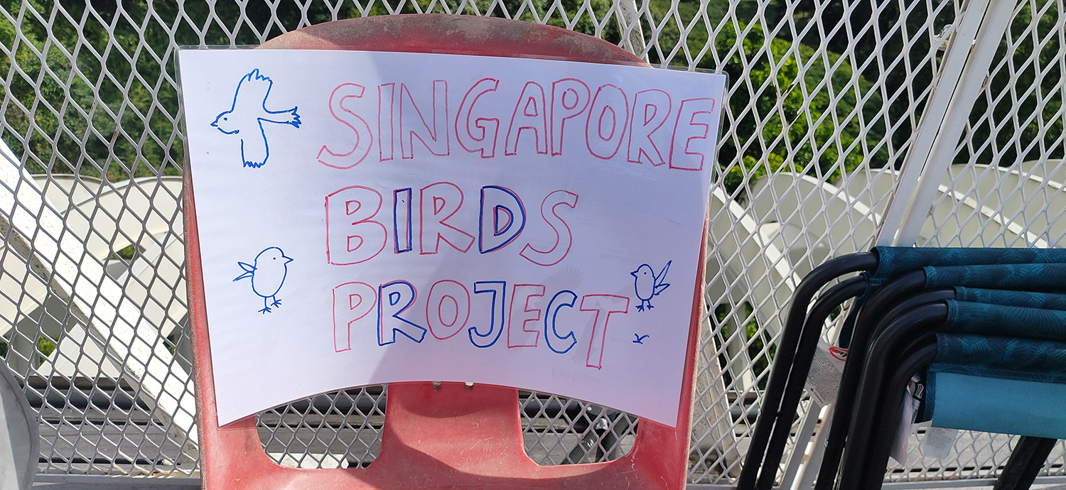 Singapore Birds Project Raptor Watch at Henderson Waves – Bird Society ...