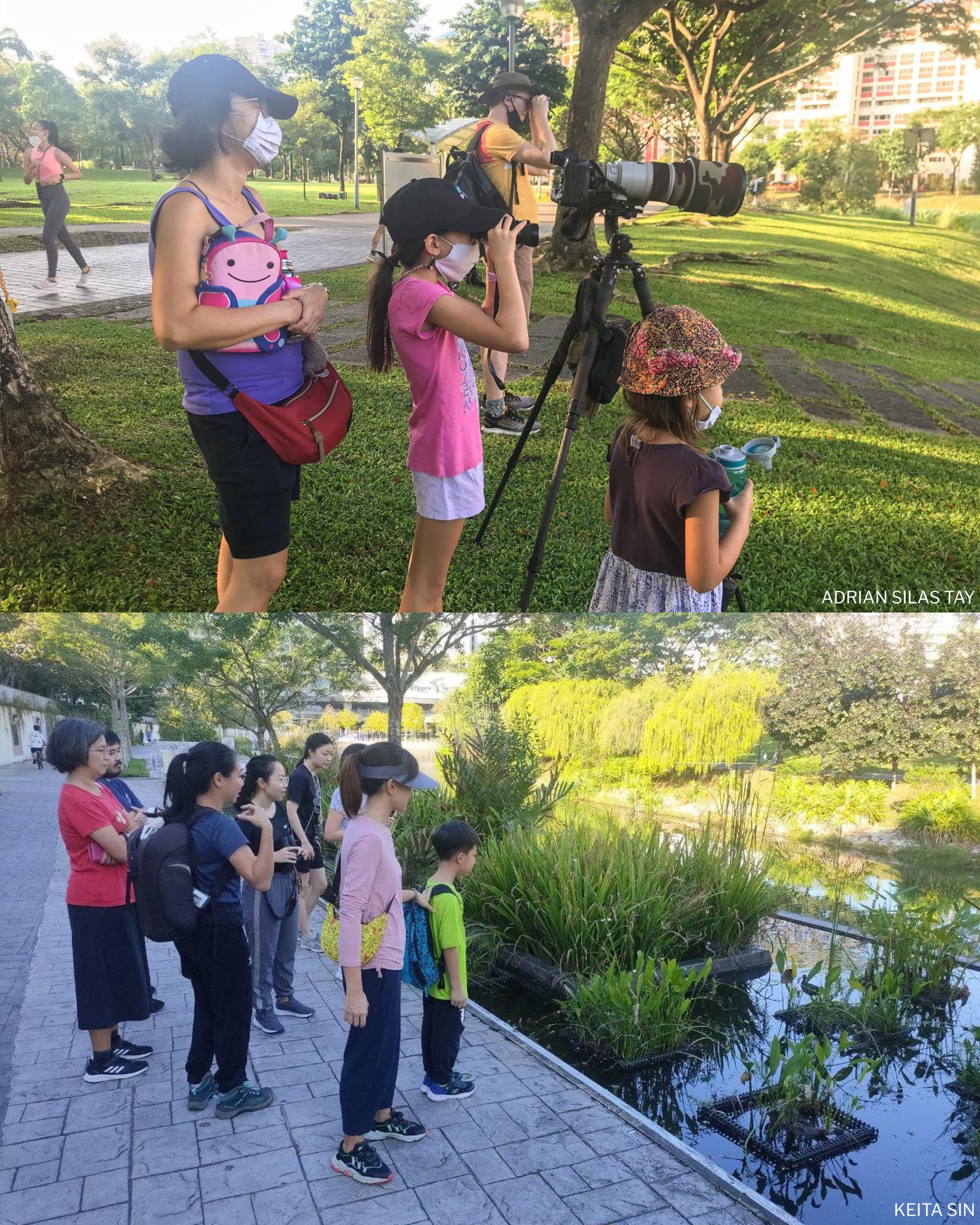 Events – Bird Society of Singapore