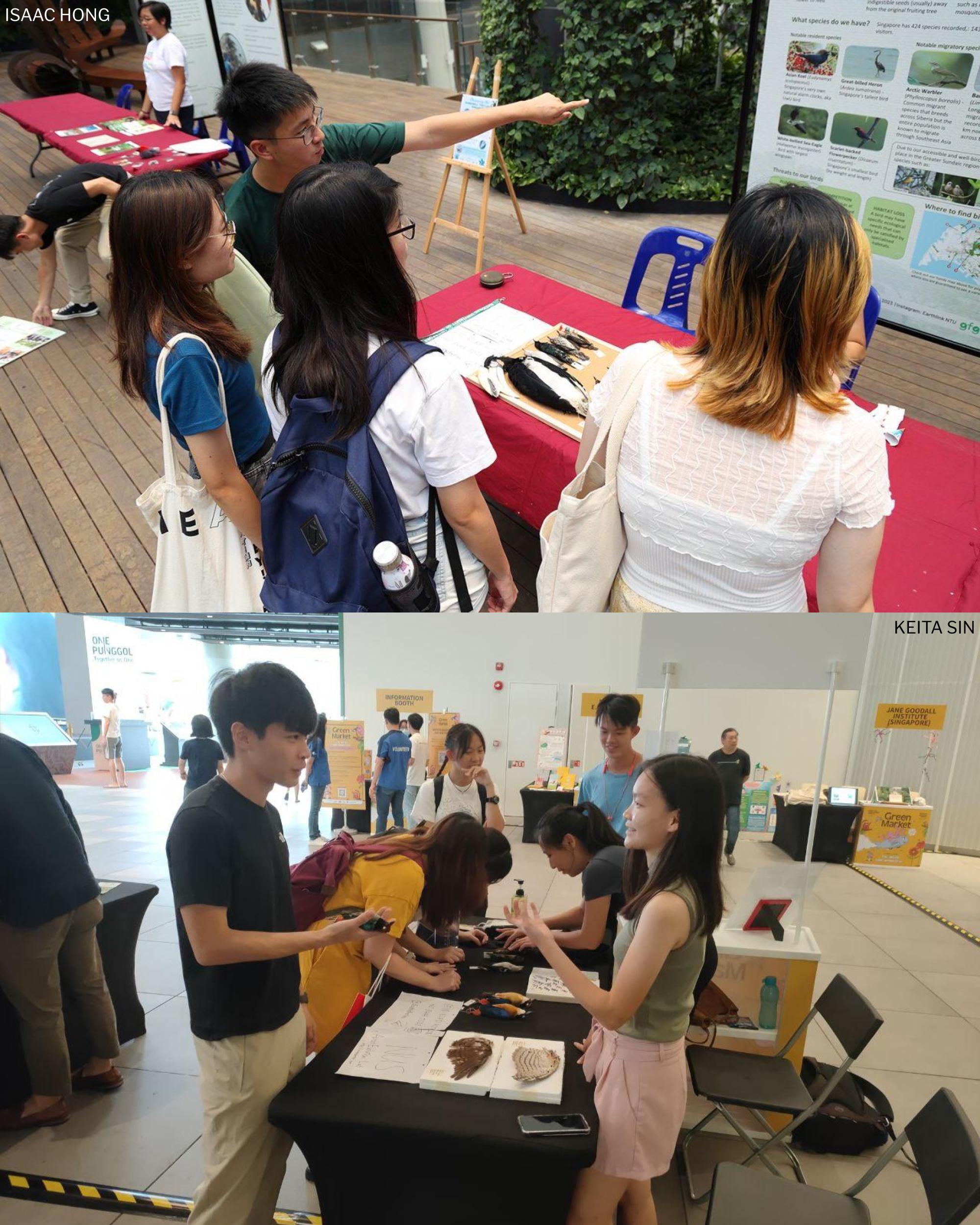 Events – Bird Society of Singapore