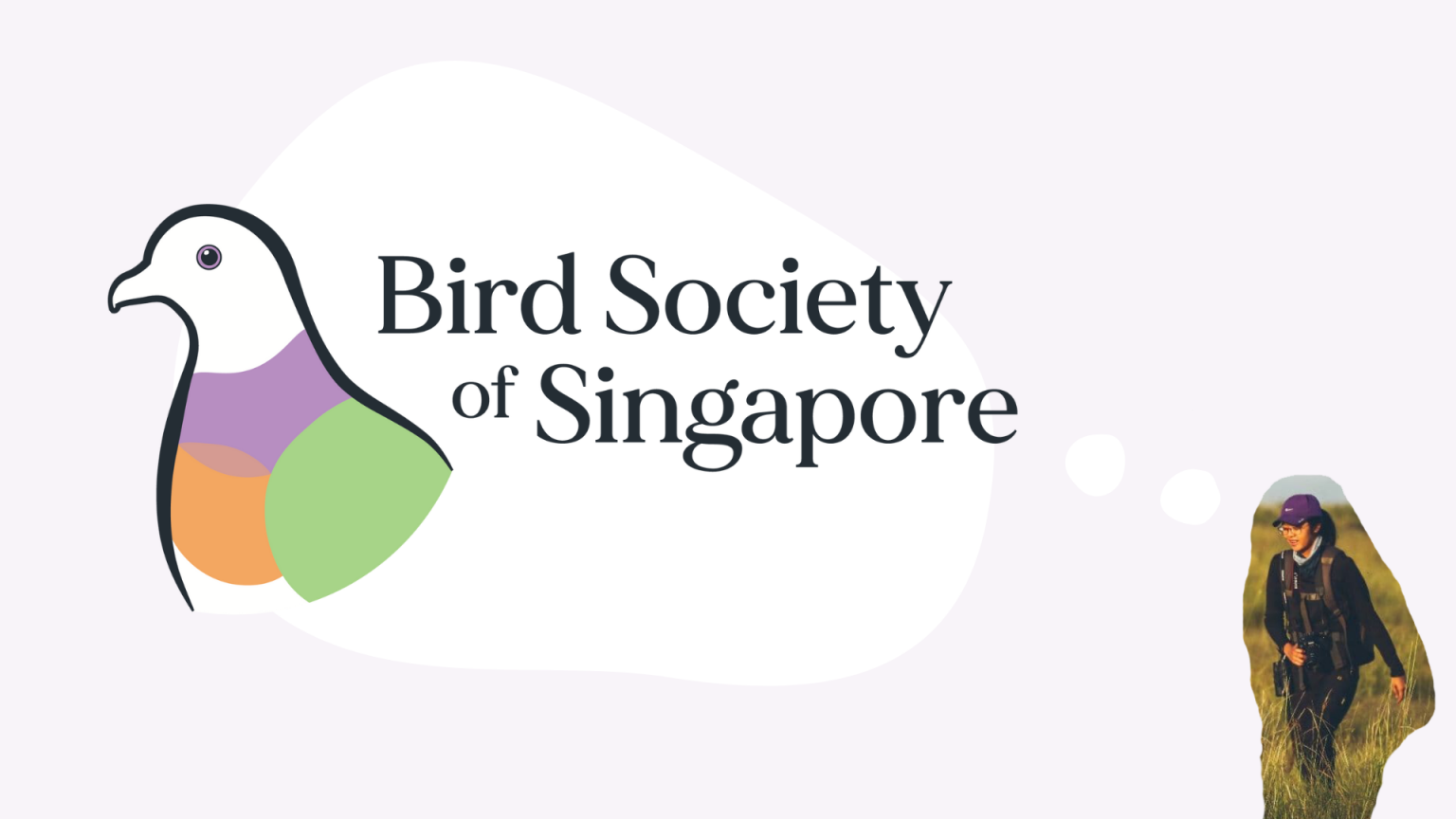 Behind the Bird Society of Singapore – Part 2: Our Logo – Bird Society ...
