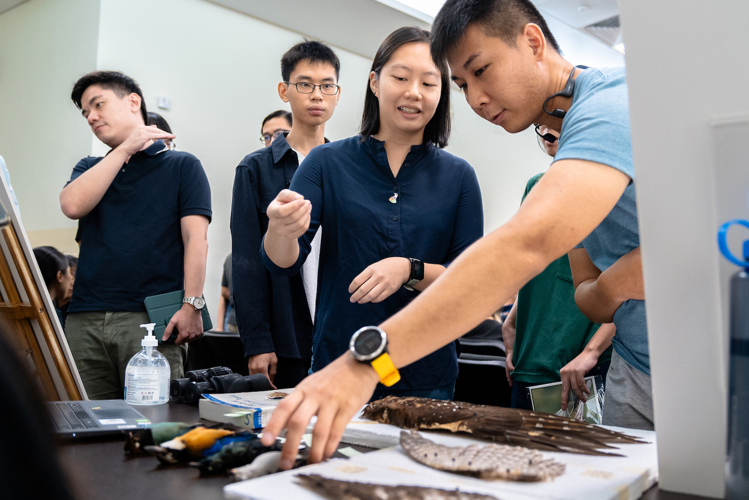 The Bird Society of Singapore is officially launched! – Bird Society of ...