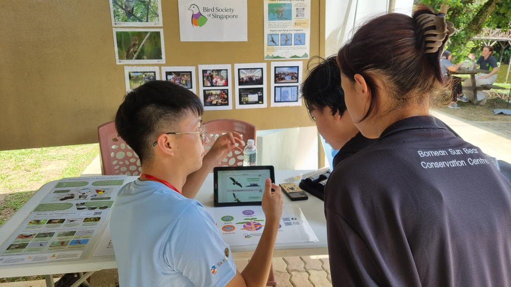 Bird Society of Singapore at the Borneo Bird Festival 2023 – Bird ...